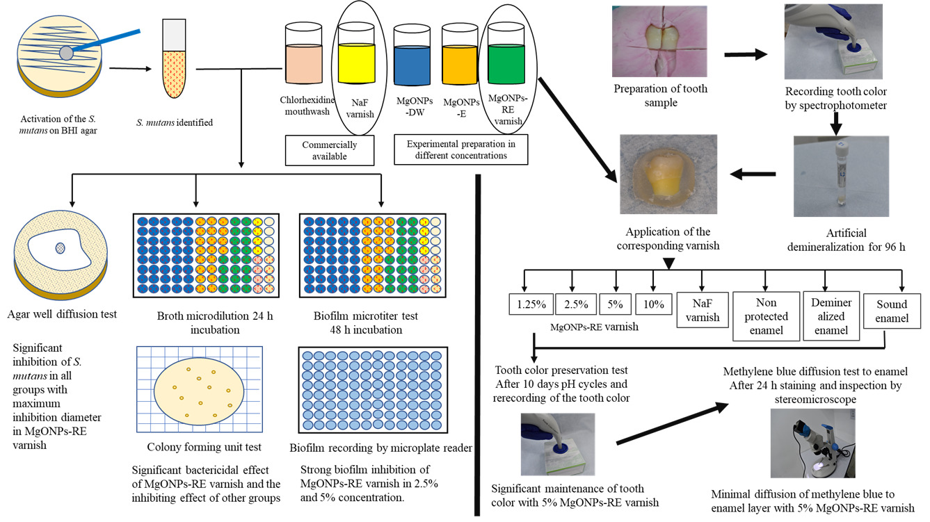 Nanotechnology, Science and Applications - Dove Press
