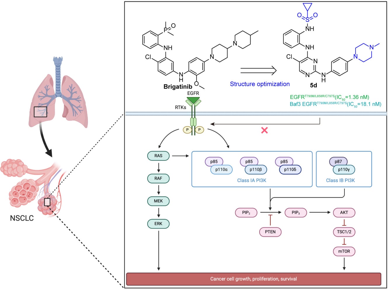 Drug Design, Development and Therapy | Volume 19 - Dove Press